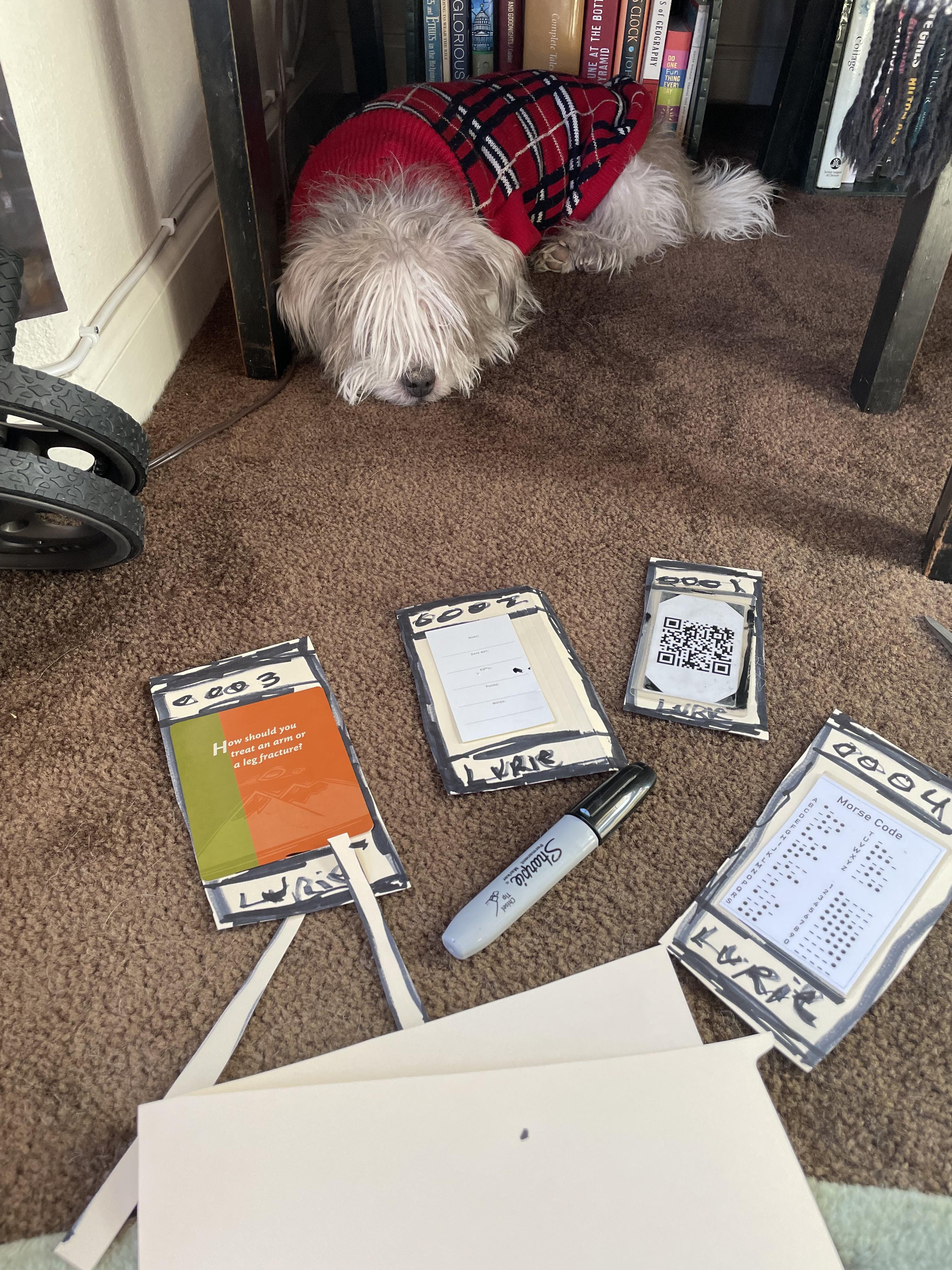 Birthplace of the Lurie lottery ticket with their muse Skippy – HOME PAGE