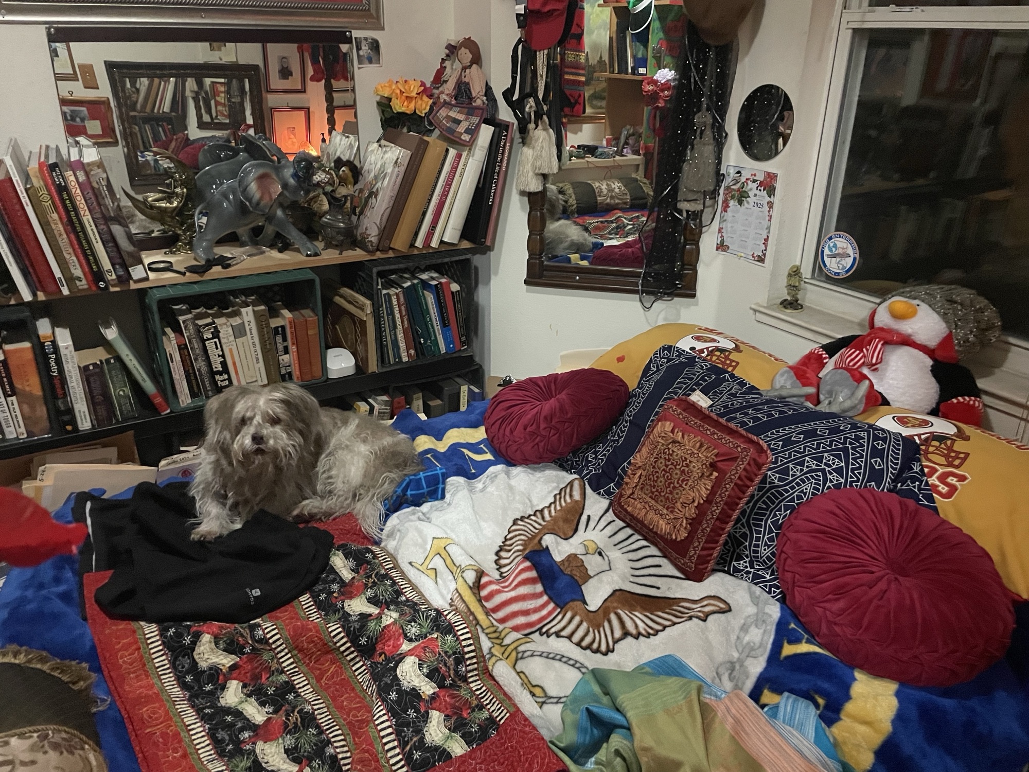 I swear, I clutter my bed like a teenager – HOME PAGE